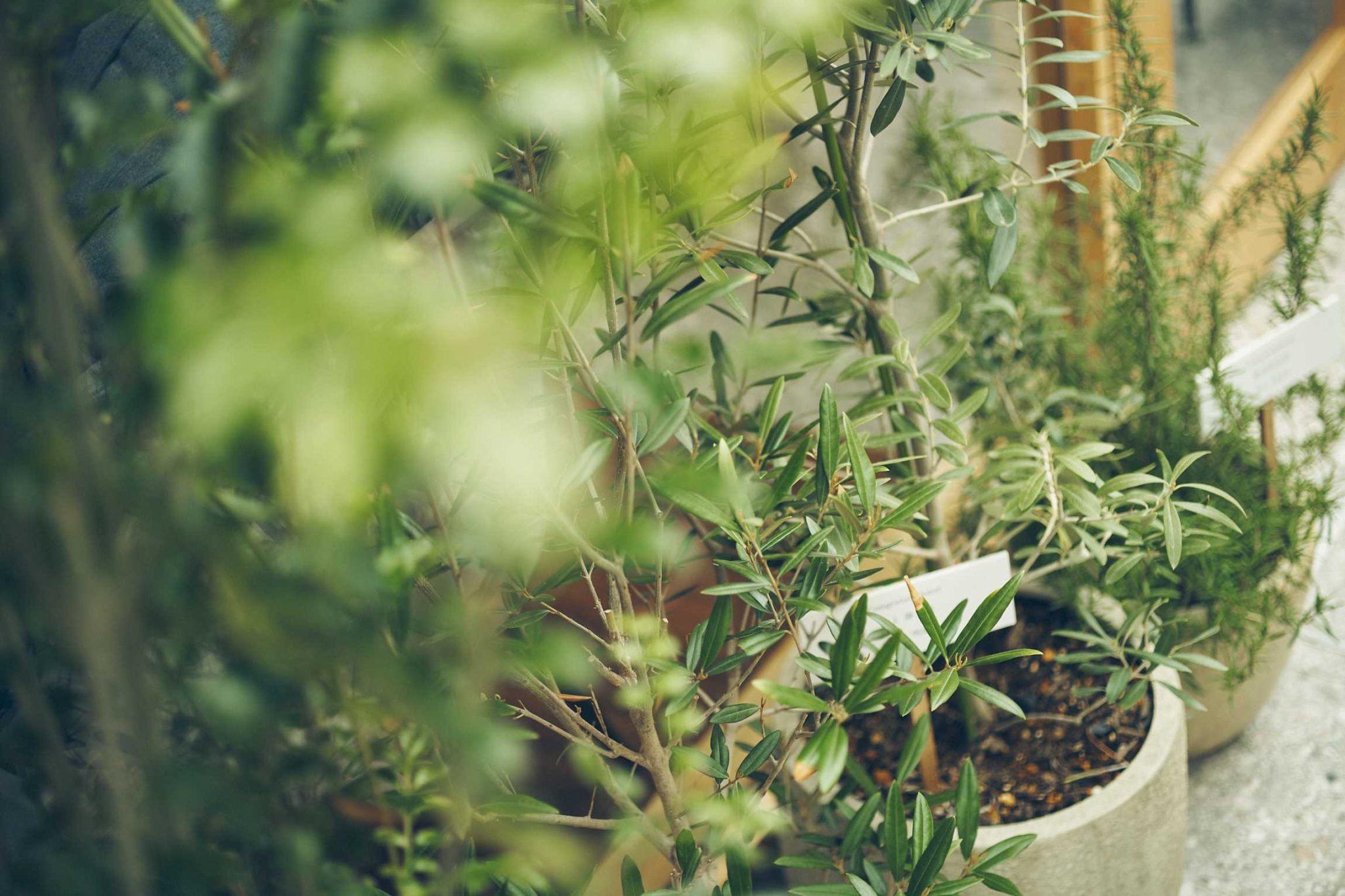 東陽町を盛り上げる「NiHITARU」人気の秘密を代表に直撃③ - SAUNA BROS.WEB | サウナブロスウェブ